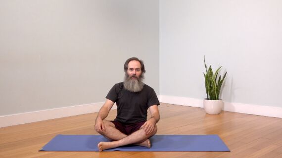 Modified Sun Salutations - Online Yoga Class - The Yoga Collective