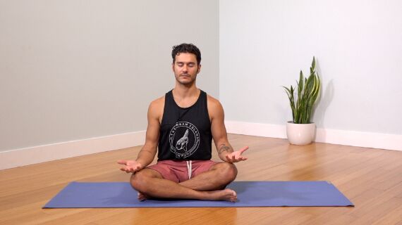 Hip Openers: Gentle Hips & Hammies - Online Yoga Class - The Yoga ...