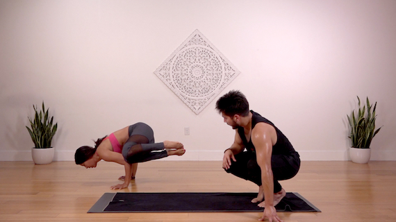 Arm Balance Flow - Online Yoga Class - The Yoga Collective