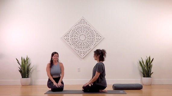 Wake & Shake - Online Yoga Class - The Yoga Collective