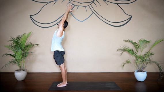 Sun Salute C - Online Yoga Class - The Yoga Collective