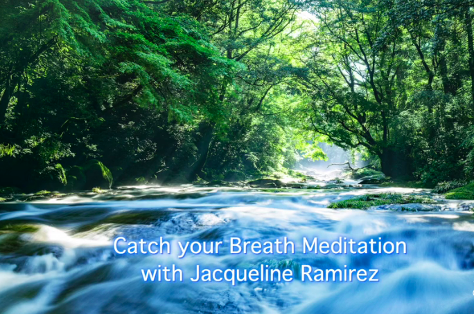 Catch your breath - Online Yoga Class - The Yoga Collective