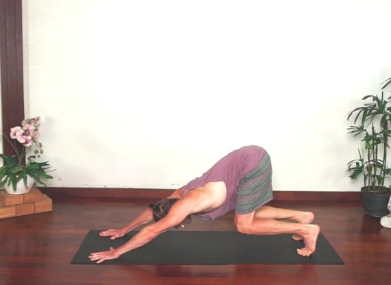Flexion Extension Class - Online Yoga Class - The Yoga Collective