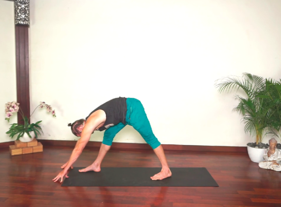 Going Pro Series: Wisdom - Online Yoga Class - The Yoga Collective