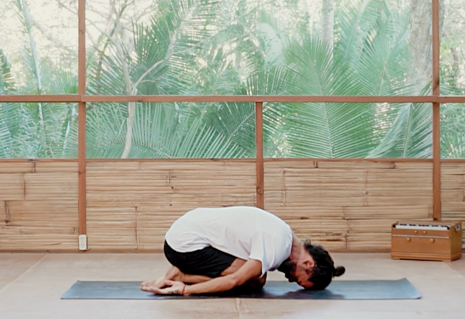 Wake & Shake I - Online Yoga Class - The Yoga Collective