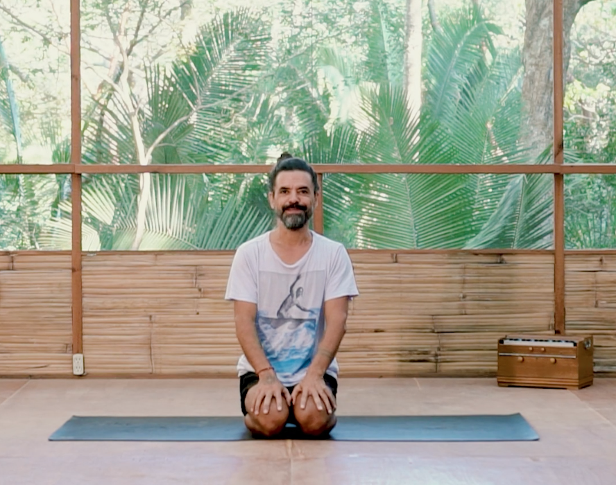 Wake & Shake II - Online Yoga Class - The Yoga Collective