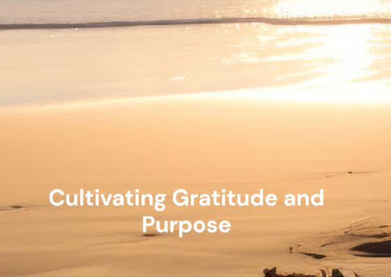 Cultivating Gratitude & Purpose - Online Yoga Class - The Yoga Collective