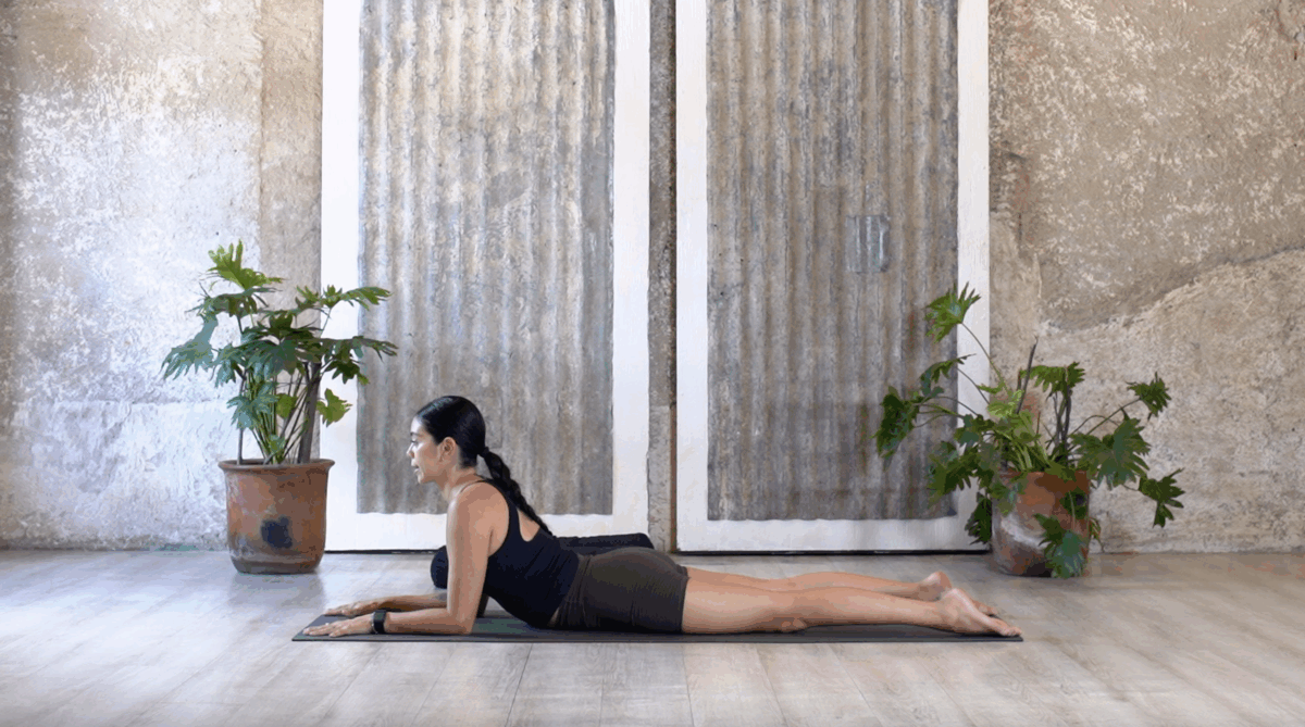 Ashtanga for Everyone - Online Yoga Classes - The Yoga Collective